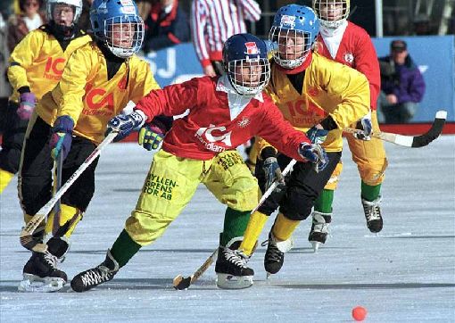 Wat is bandy | Bandy Bond Nederland